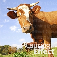 CE Image Methods - CodeIgniter®